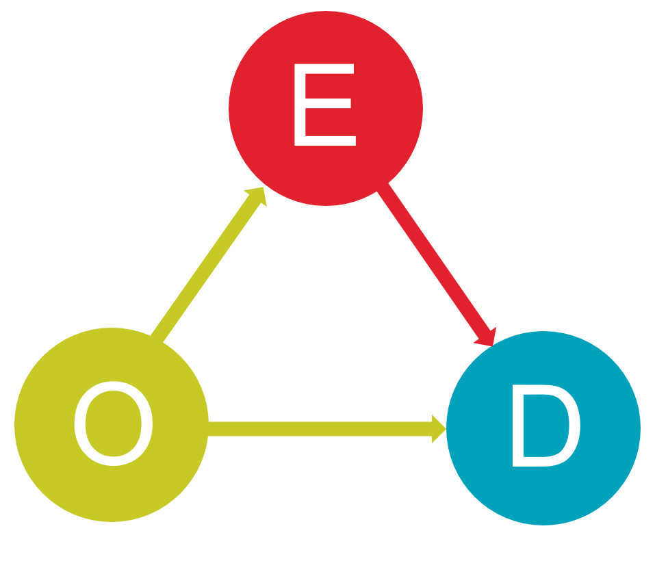 Inequalities in education and society: The home, the school and the ...